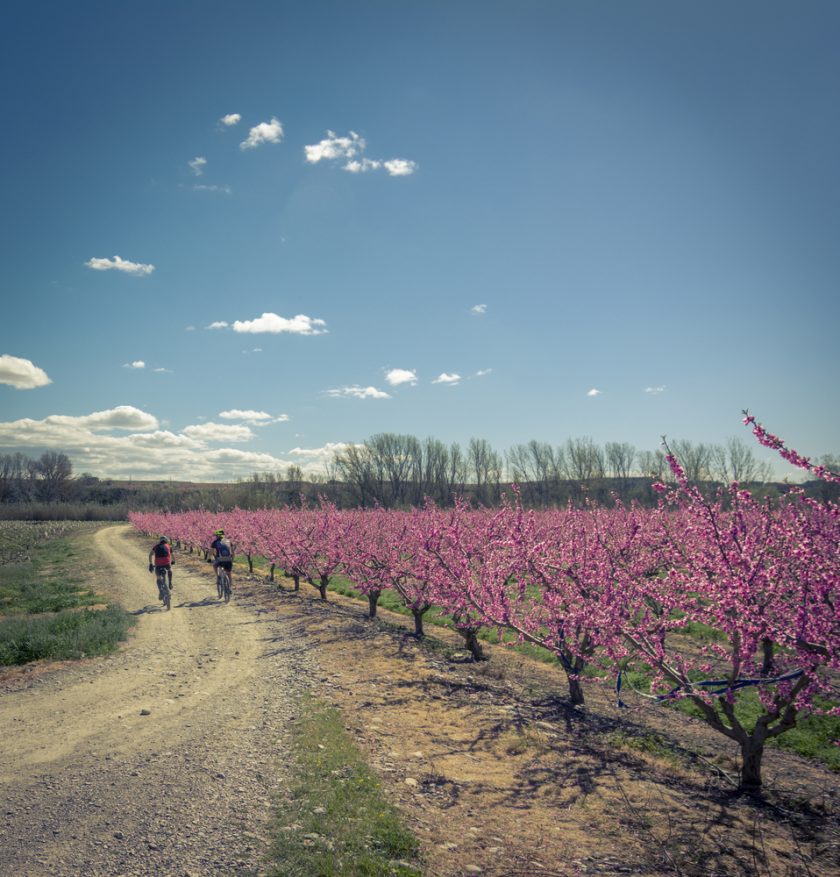 6 Reasons to Take a Guided Girona Cycling Tour – Bicilona Tours